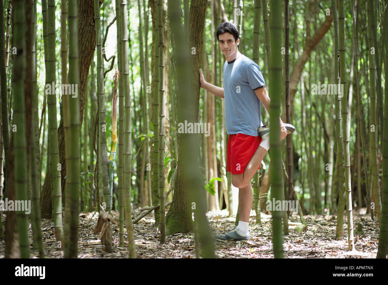 Young man stretching hamstrings in forest Stock Photo - Alamy