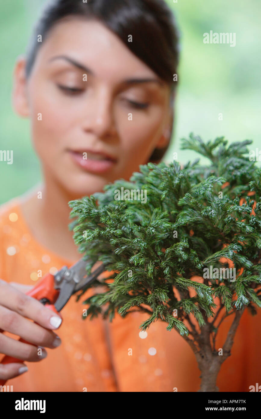 Woman cutting bonsai tree hi-res stock photography and images - Alamy