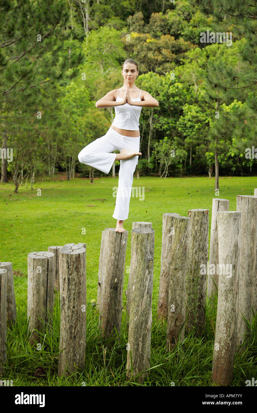 Balance stumps hi-res stock photography and images - Alamy