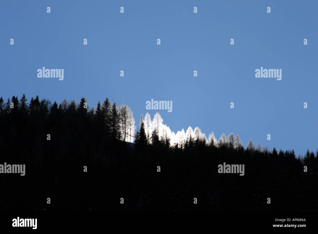 Twilight Sun Disappearing Behind Silhouette Treeline Austria Stock ...