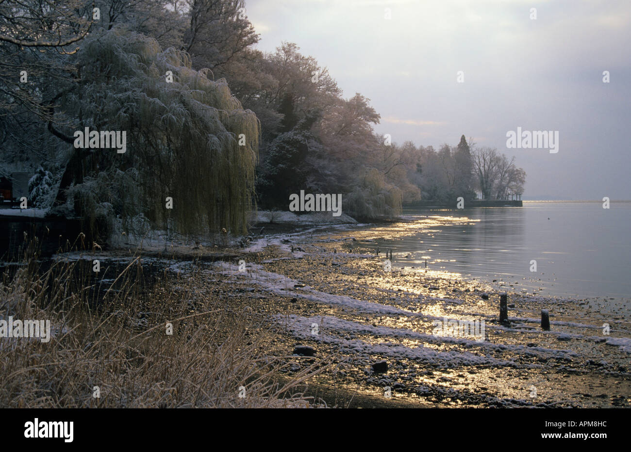 Shoreline of lake constance hi-res stock photography and images - Alamy