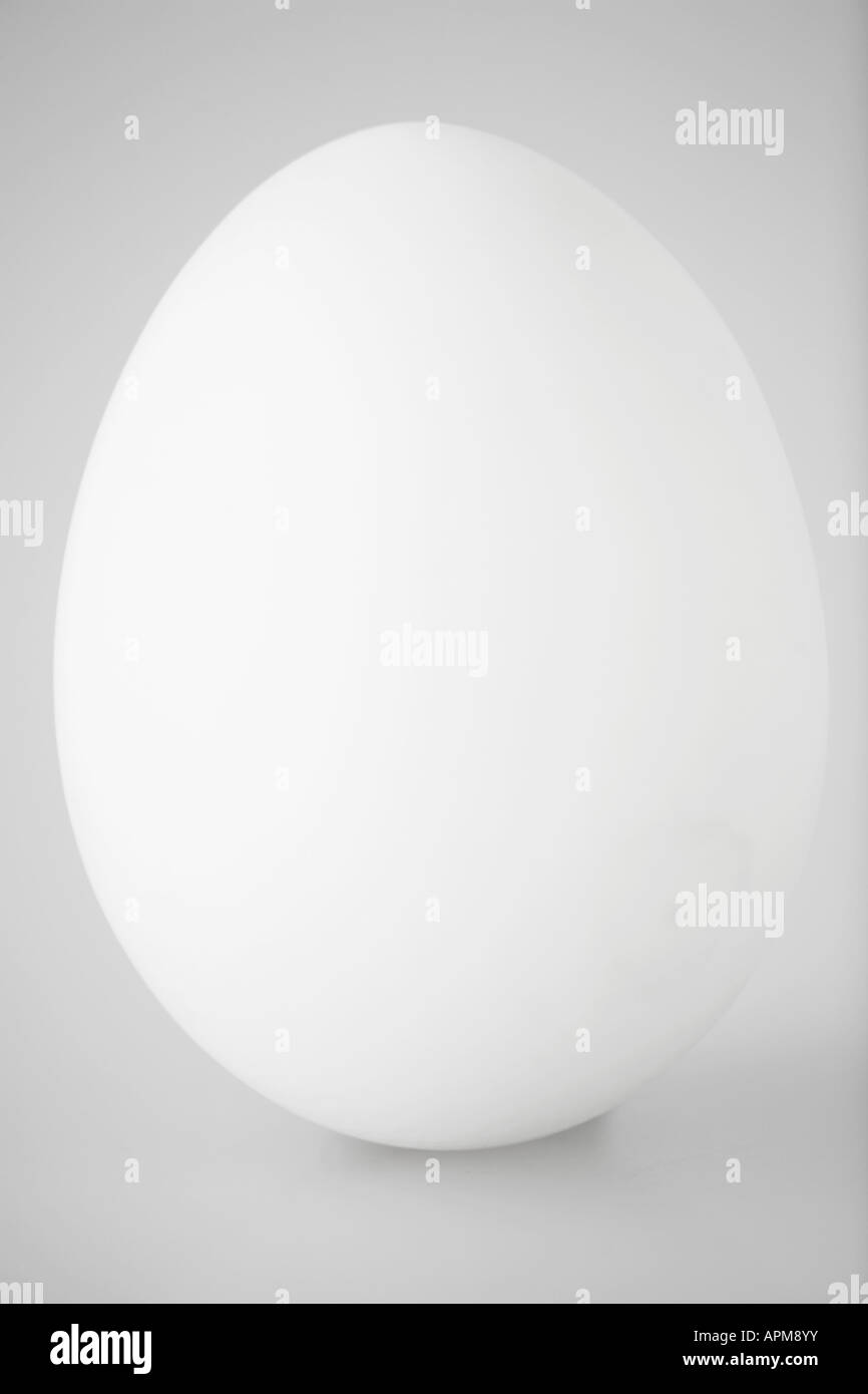 White of an egg Black and White Stock Photos & Images - Alamy