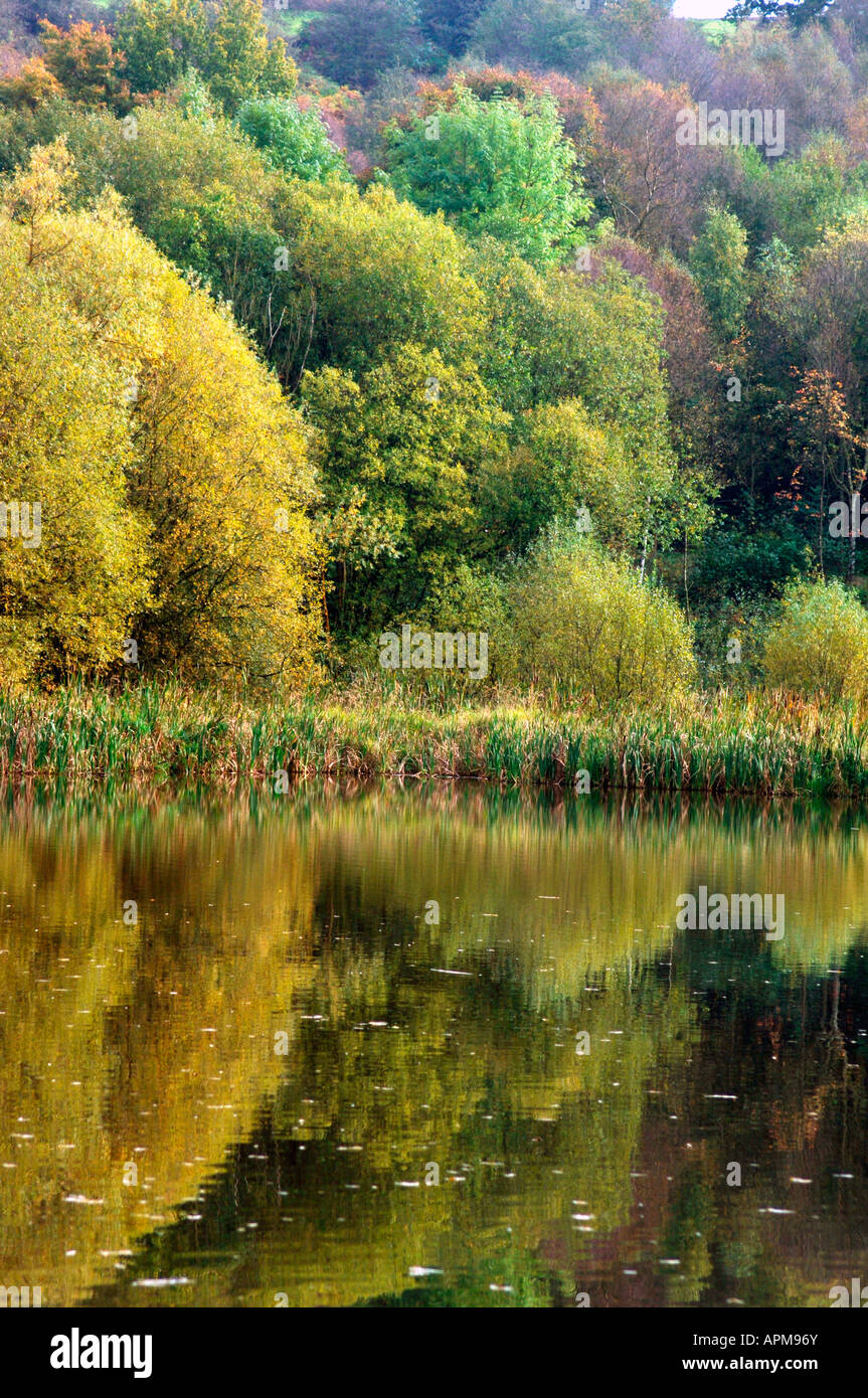 Reflections In A Lake Stock Photo - Alamy