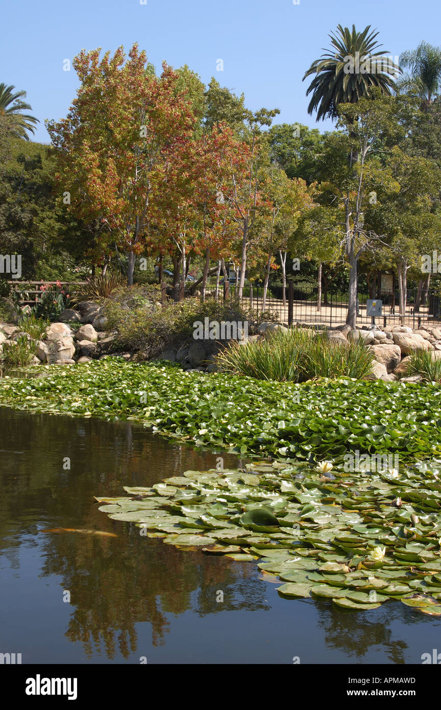Alice Keck Park Stock Photo - Alamy