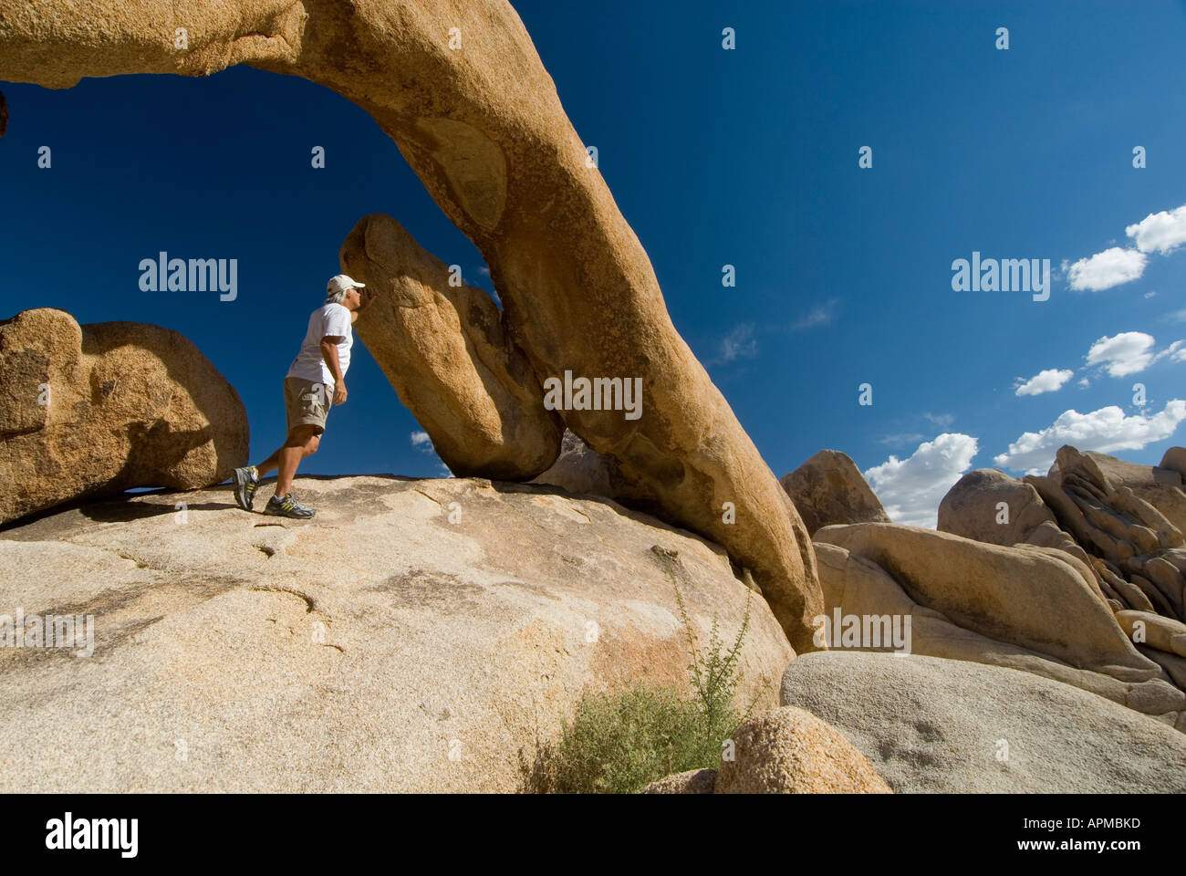 Hiker Arch Rock Joshua Tree National Park California Stock Photo - Alamy