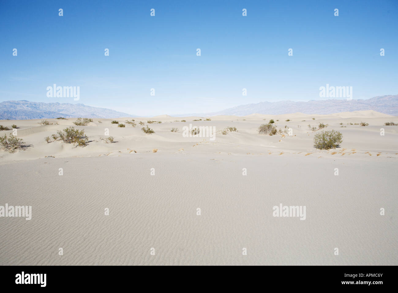 Empty highway in desert, Death Valley, California, USA Stock Photo - Alamy