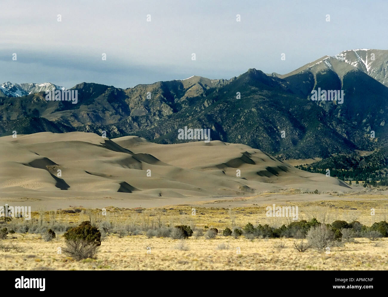 The Grand Sand Dunes National Park Preserve in Colorado USA Stock Photo ...