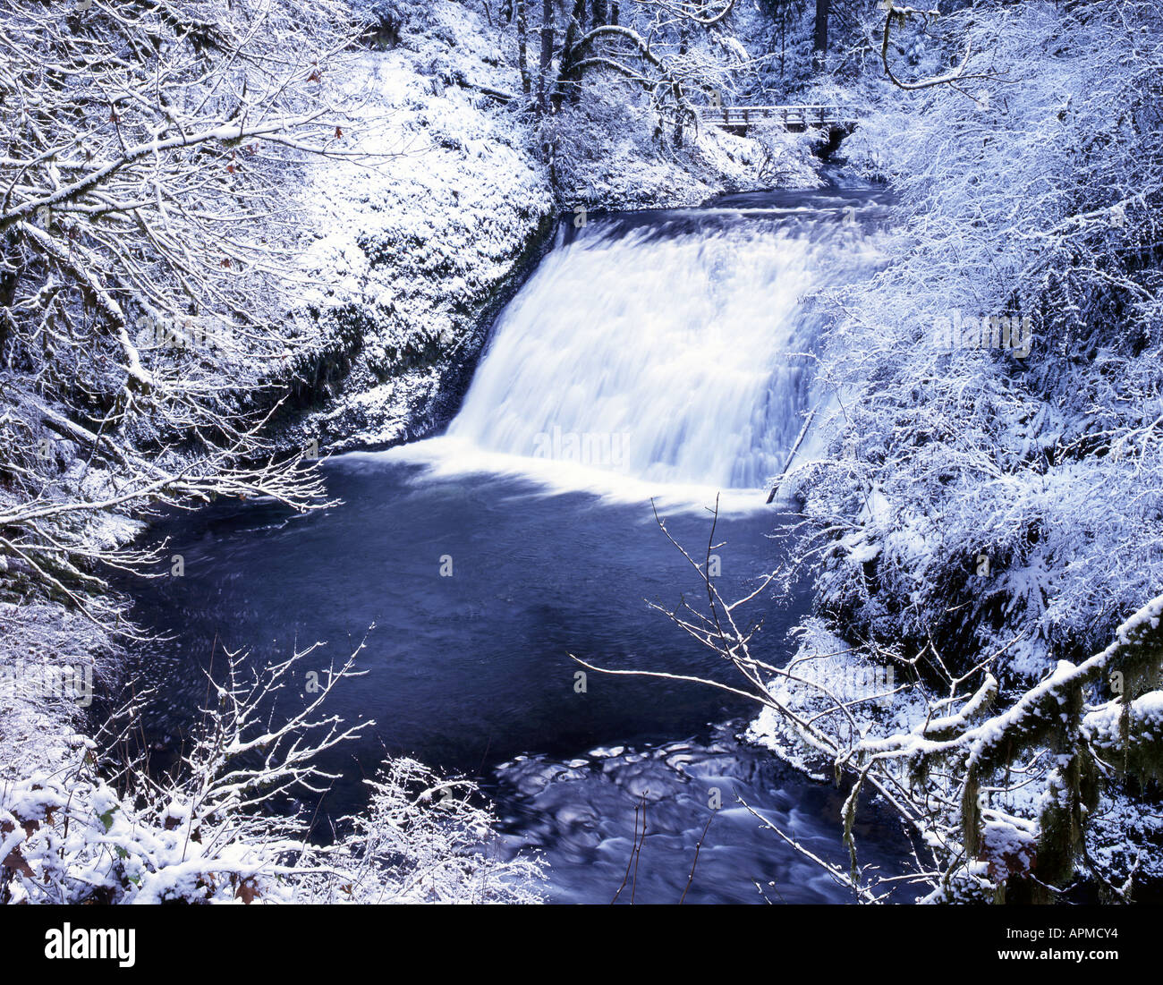 Lower North Falls framed by winter snowfall in Oregon's Silver Falls ...
