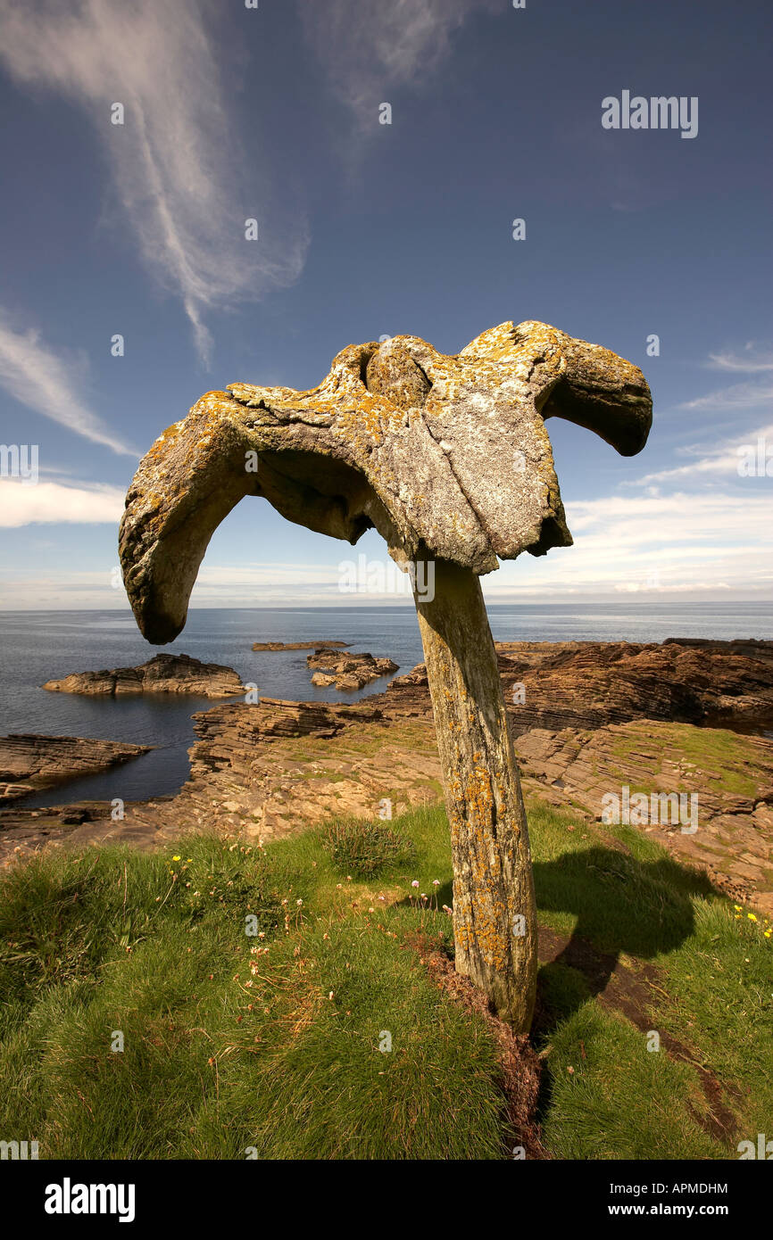 Whalebone Birsay West mainland Orkney Islands Scotland UK Stock Photo ...