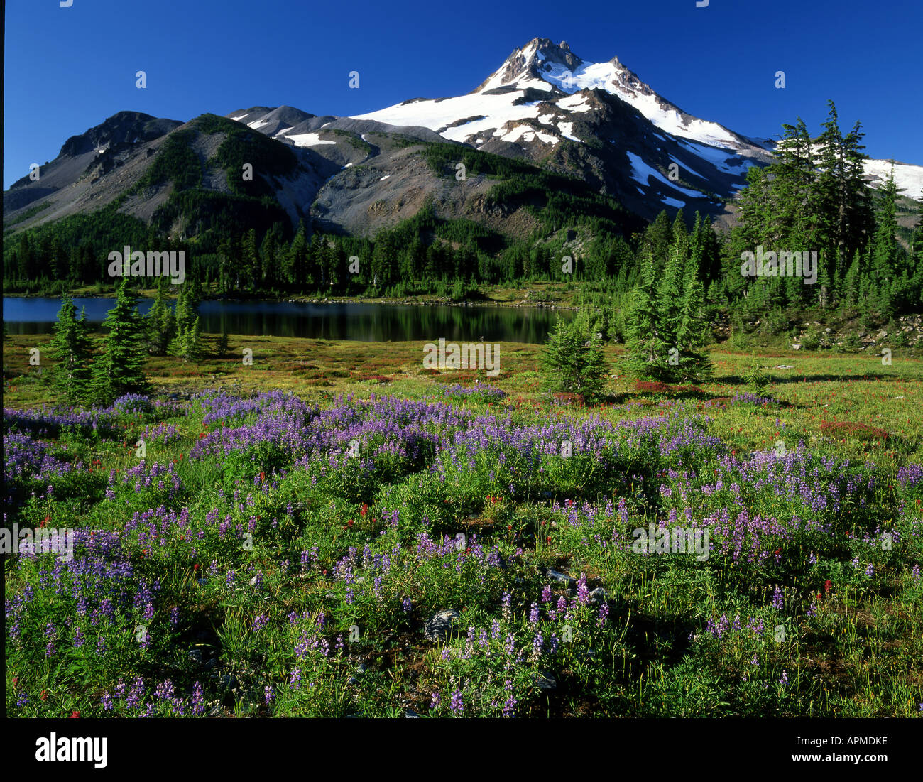 Mount jefferson russell lake jefferson hi-res stock photography and ...