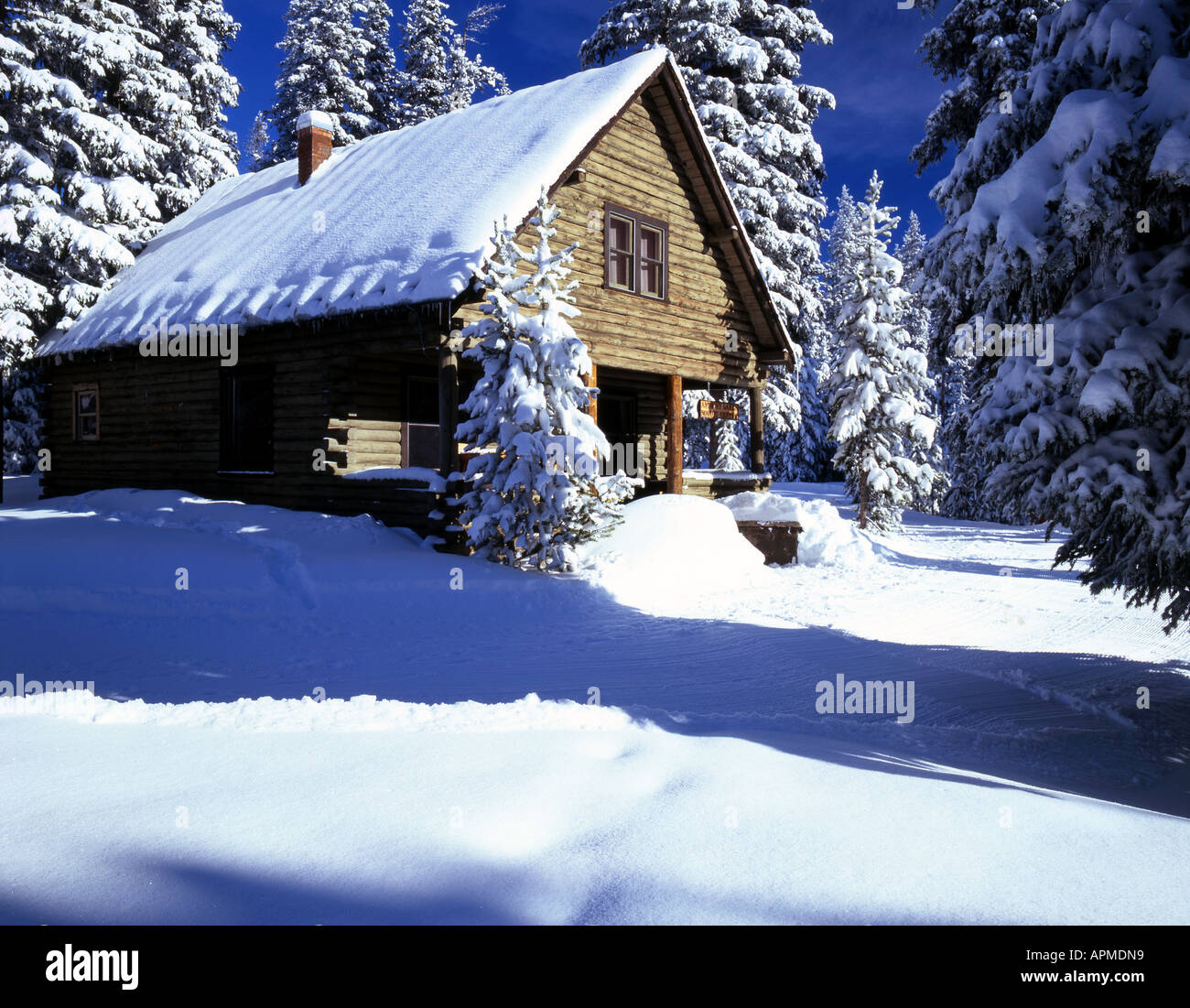 Snow covered cabin in Oregon's Elkhorn Mountain Range Stock Photo - Alamy