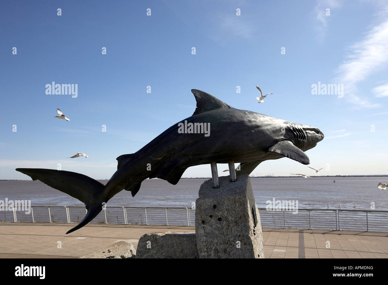 September 2007 Sea gulls flying around the statue of a shark outside ...