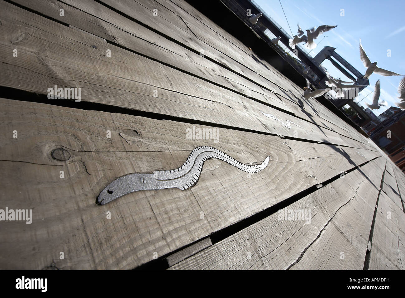 Hull fish trail hi-res stock photography and images - Alamy