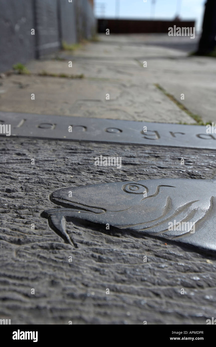 Hull fish trail hi-res stock photography and images - Alamy