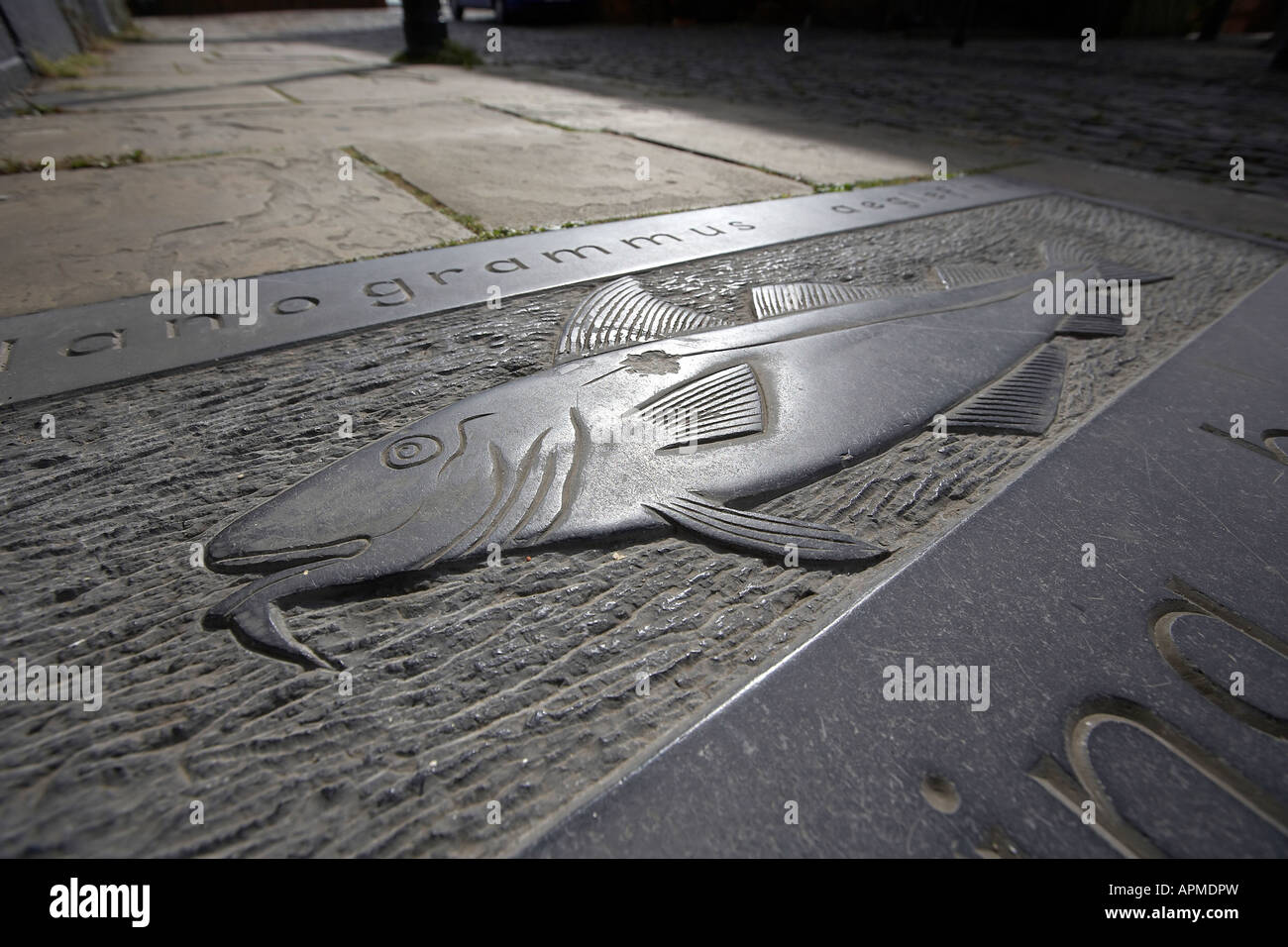 Fish trail hull hi-res stock photography and images - Alamy