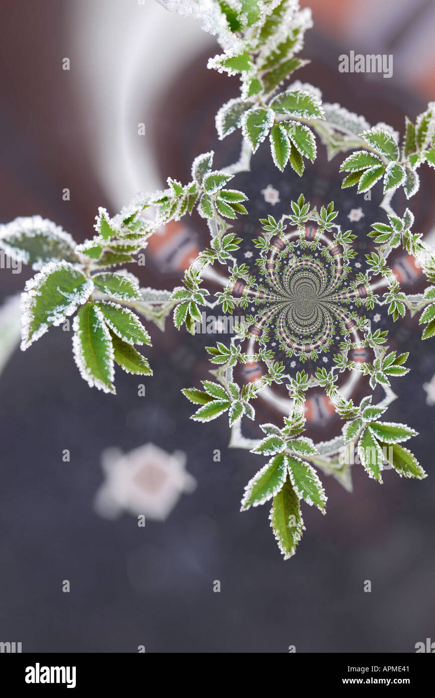 Computer arts image illustration Stock Photo - Alamy