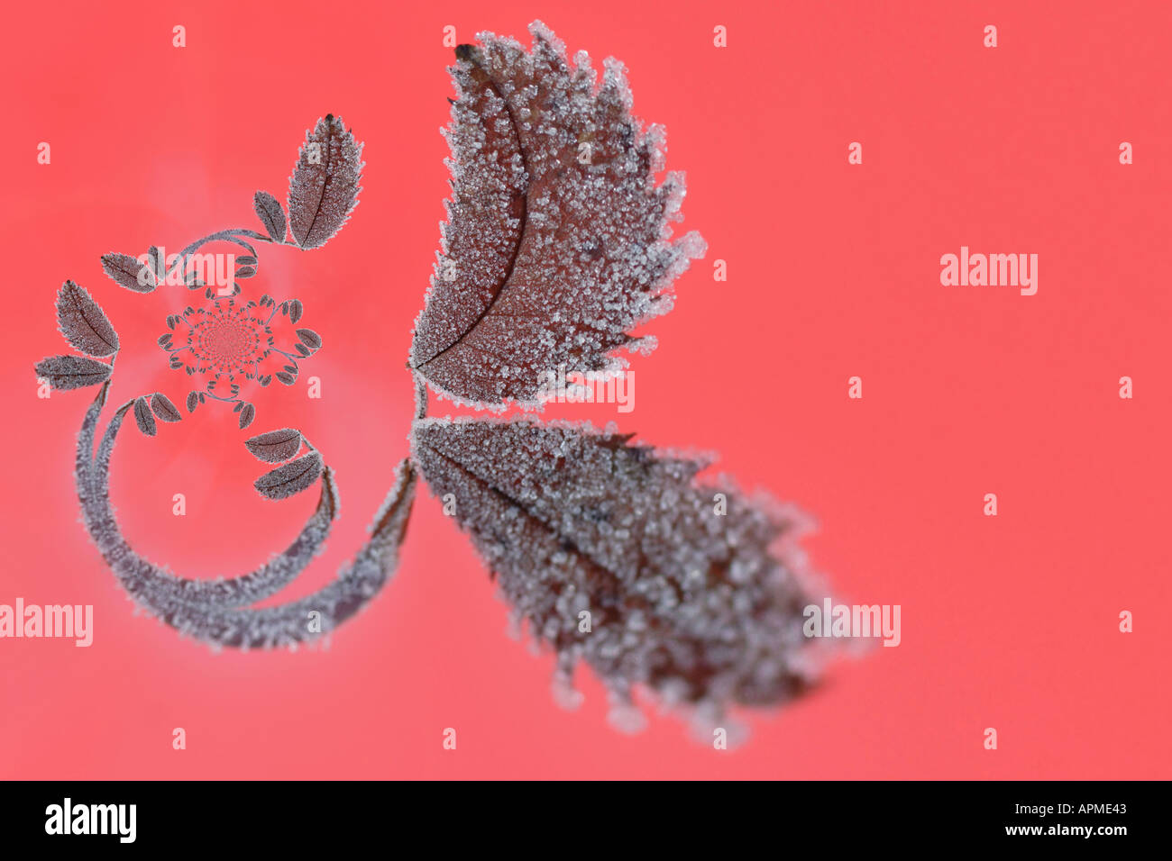 Computer arts image illustration Stock Photo - Alamy