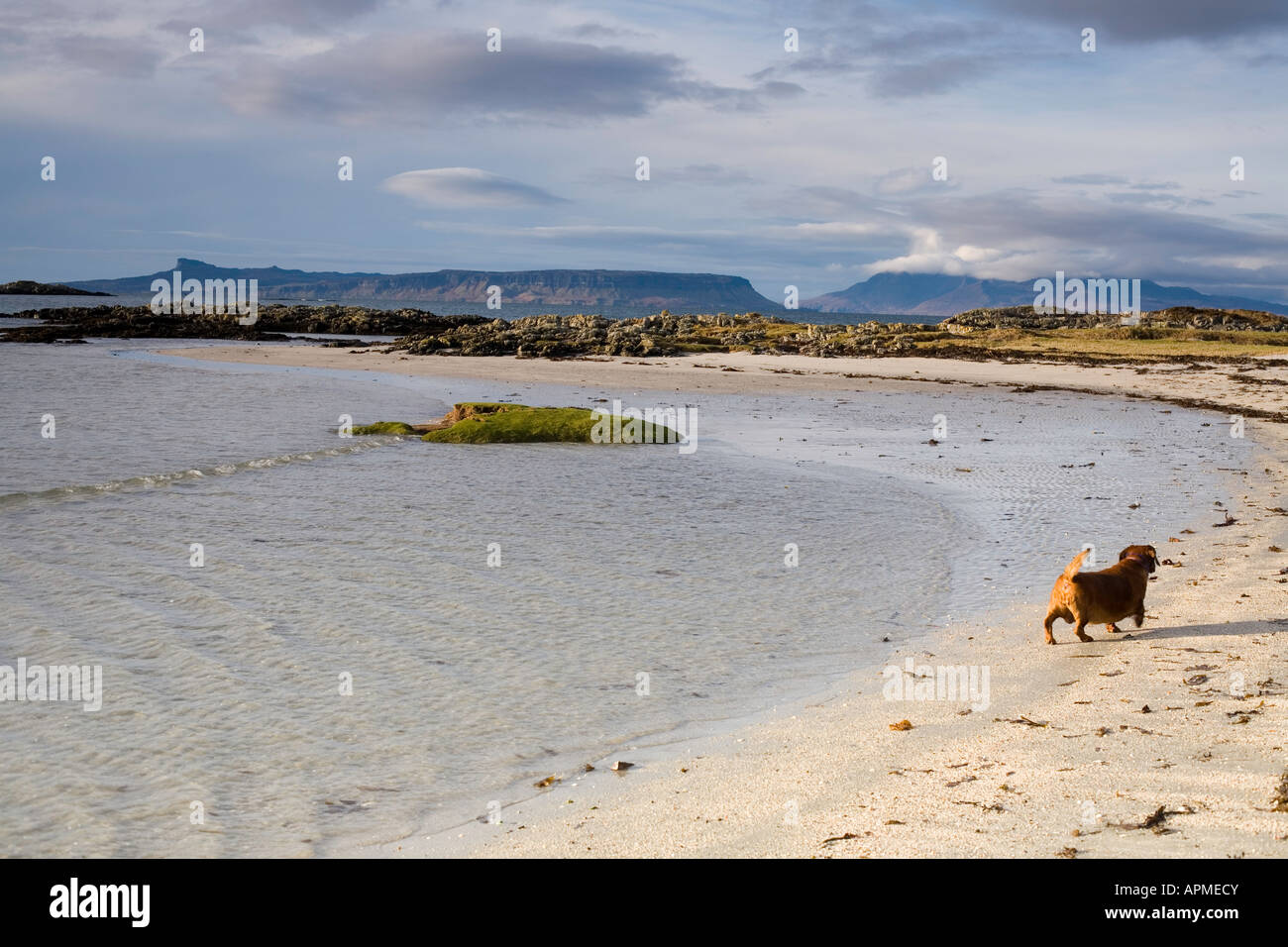View to the Islands of Eigg and Rhum from Traigh beach, nr Arisaig ...