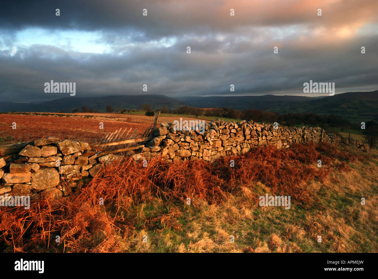 Sunlit dry stone wall hi-res stock photography and images - Alamy
