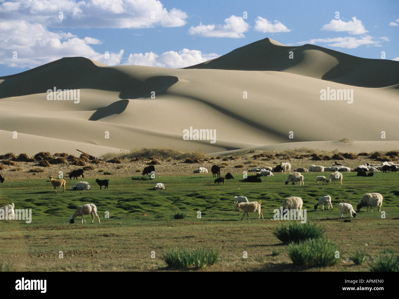 The gobi desert sands hi-res stock photography and images - Alamy