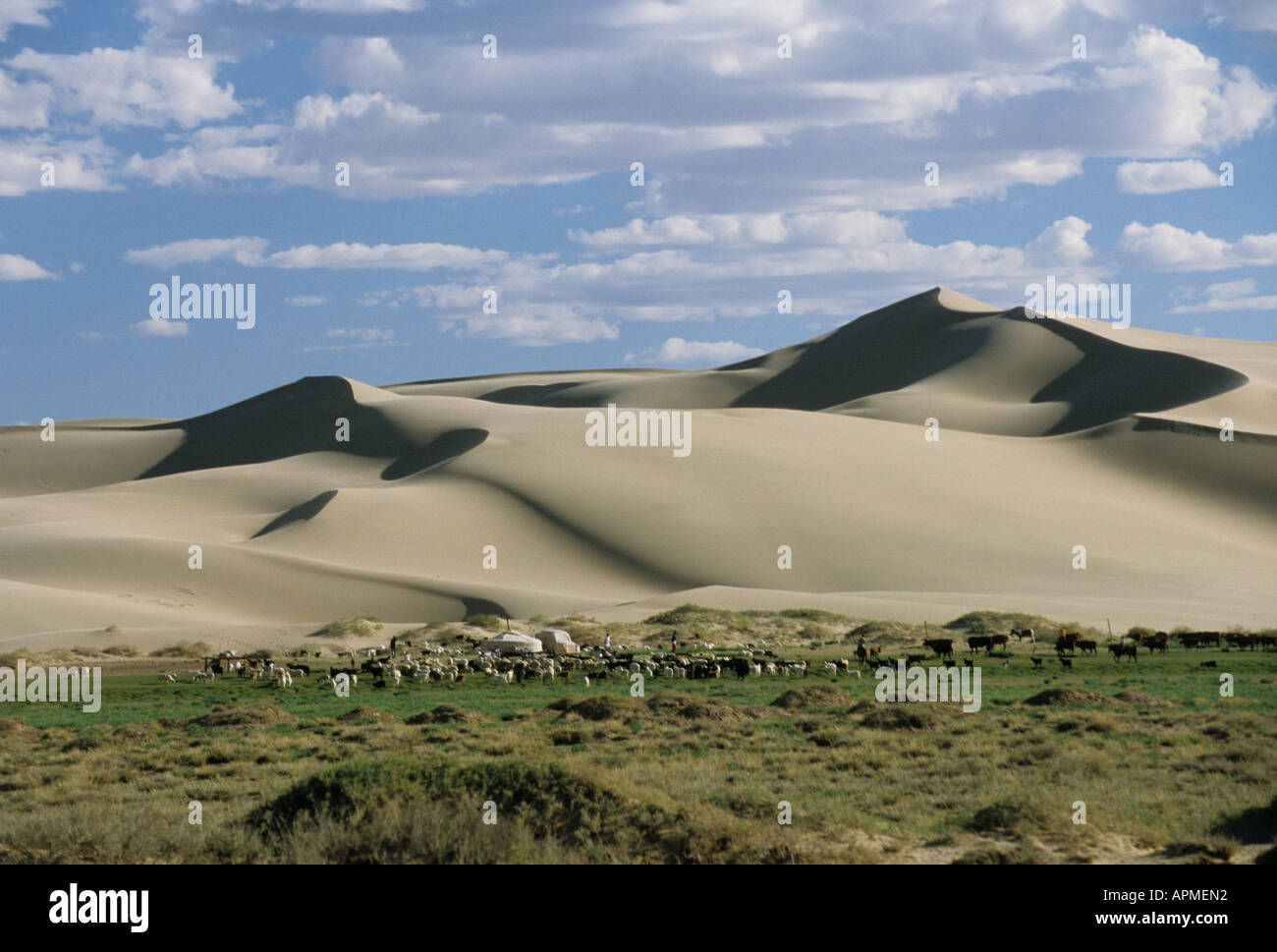 Gobi desert camel ger hi-res stock photography and images - Alamy