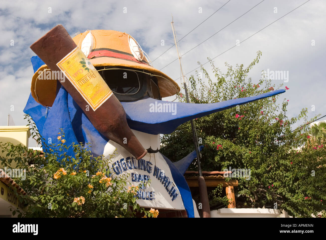 Giggling marlin hi-res stock photography and images - Alamy