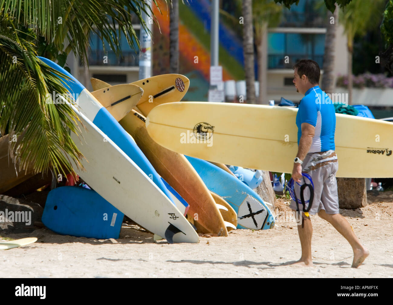Surfer carrying surfboard and rack of surfboards palm Waikiki Beach ...