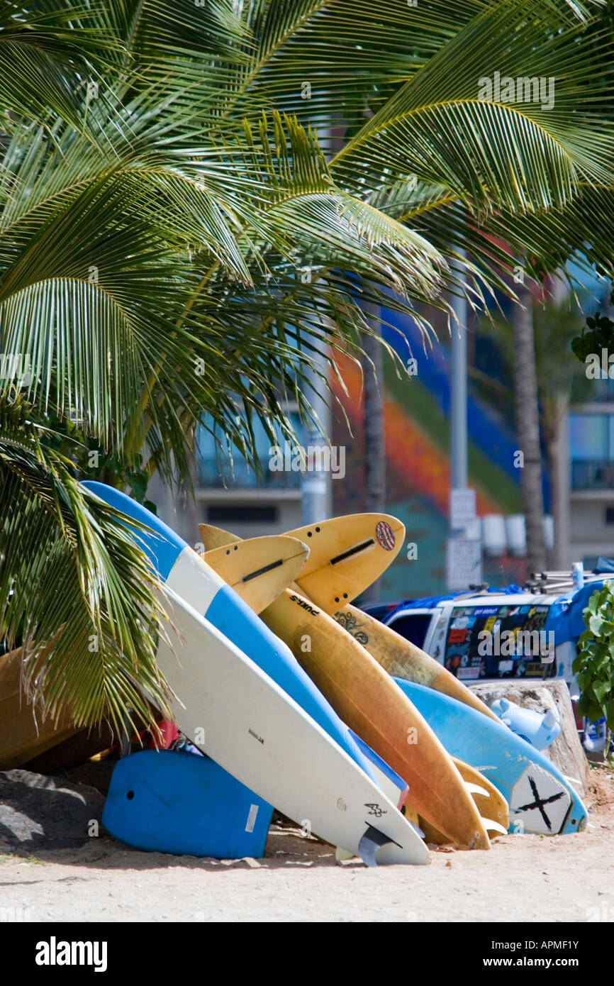 Surfboards on rack under palm Waikiki Beach Honolulu Hawaii USA Stock ...