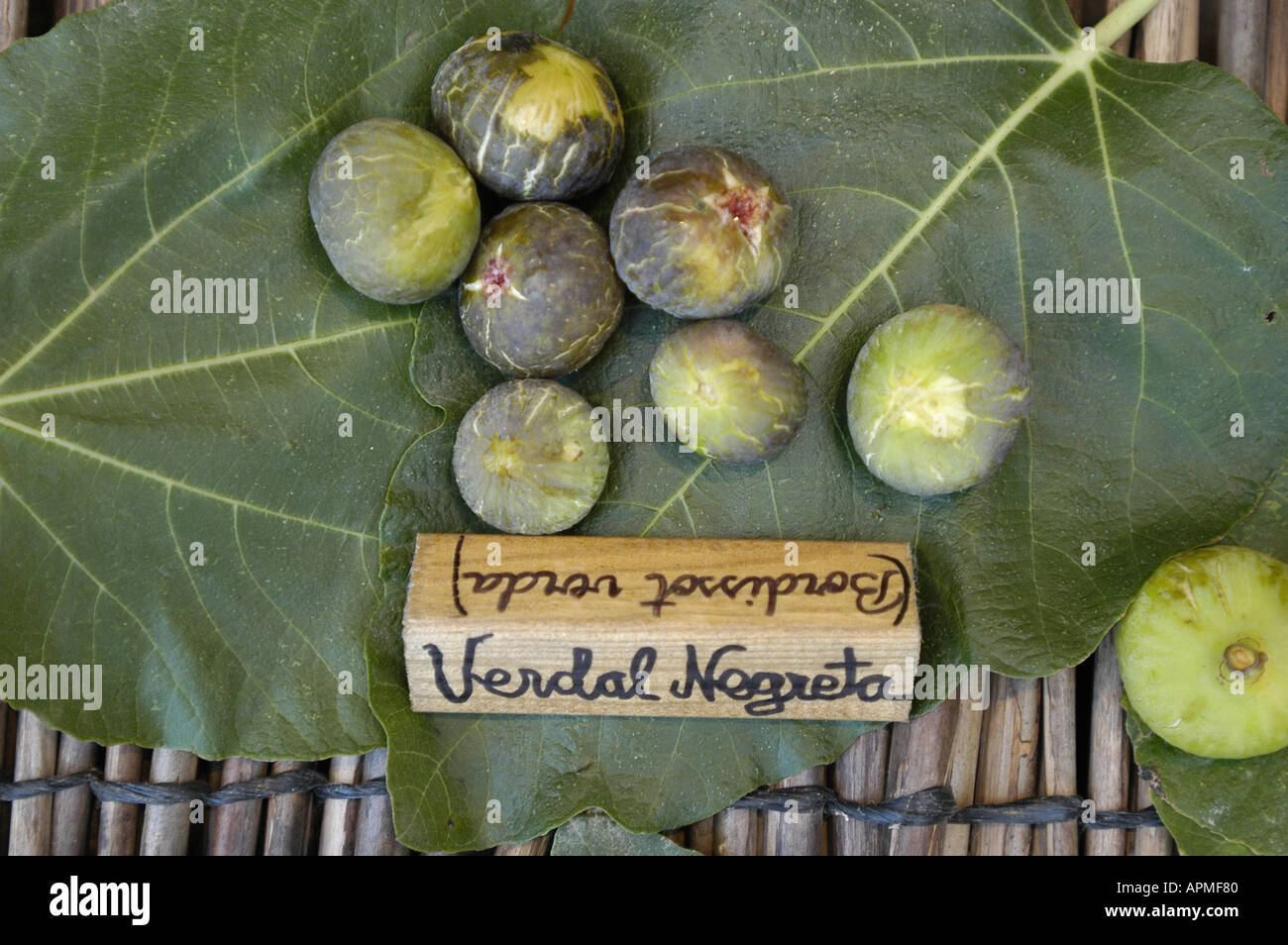 Fig variety Figs Mallorca Majorca Spain Balearic Islands Mediterranean ...