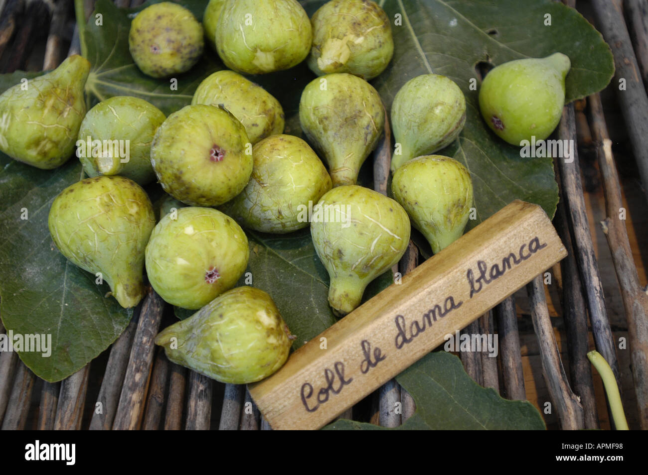 Fig variety Figs Mallorca Majorca Spain Balearic Islands Mediterranean ...