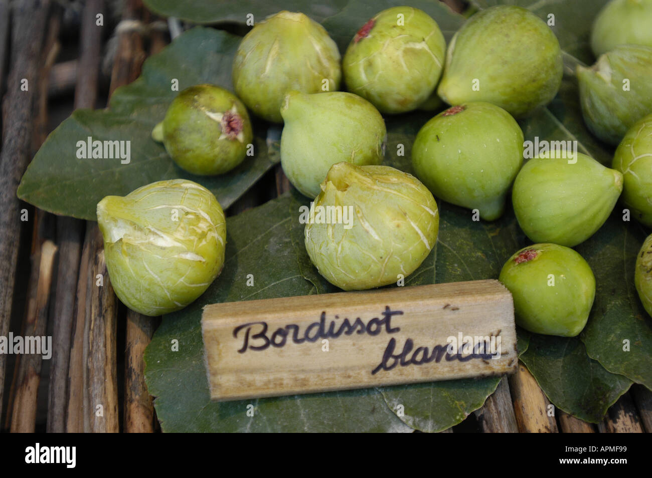 Fig variety Figs Mallorca Majorca Spain Balearic Islands Mediterranean ...
