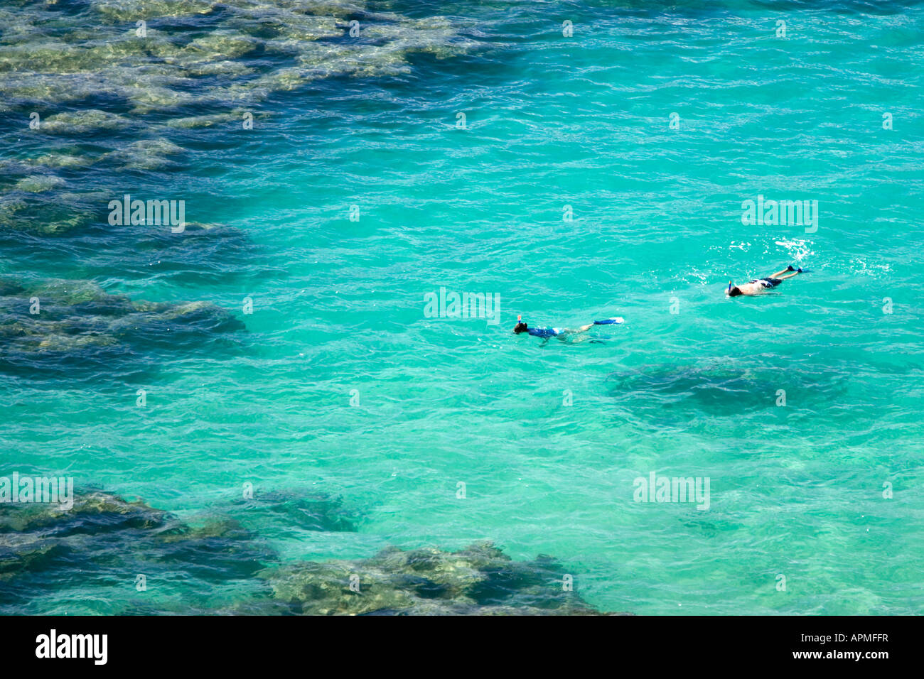 Two snorkelers view coral and fish in Keyhole Lagoon Hanuama Bay Oahu ...