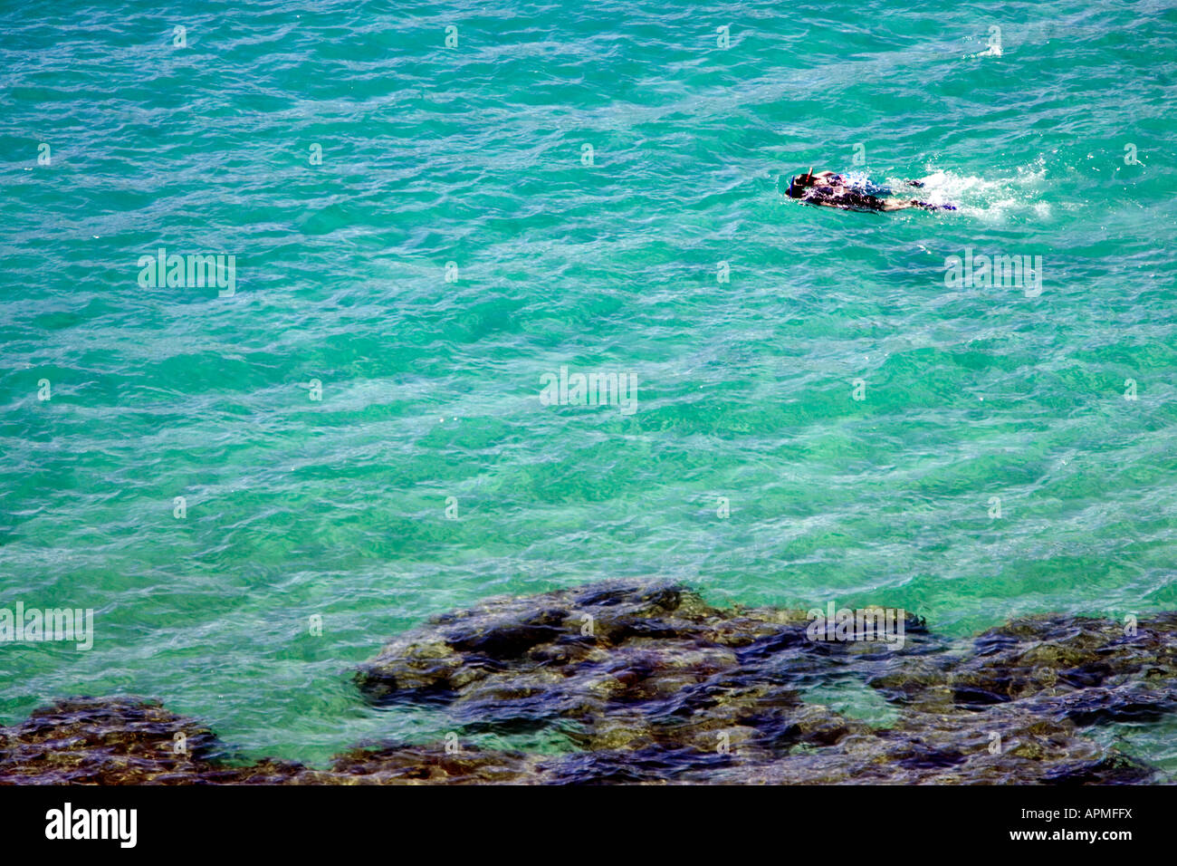 Hanuama fish hi-res stock photography and images - Alamy