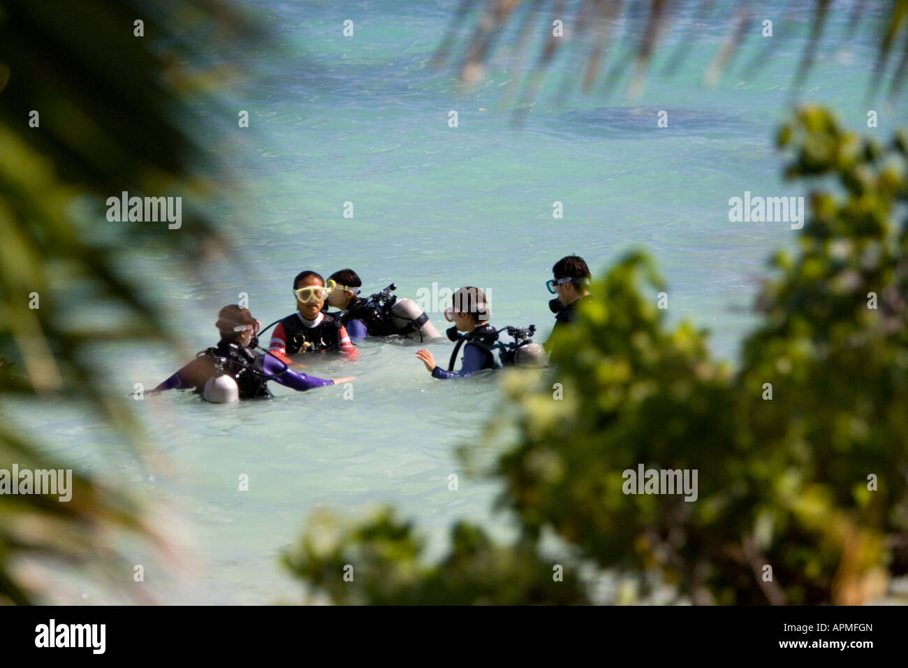 Scuba diving lesson in shallow clear warm tropical ocean water Oahu ...