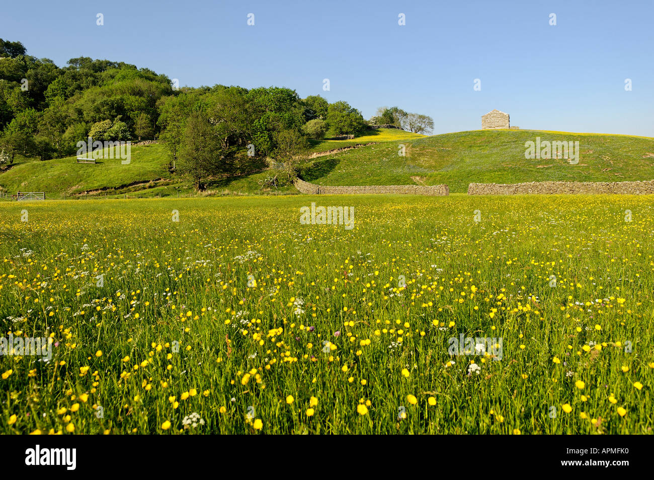 Traditional hay meadow and hilltop field barn Stock Photo - Alamy