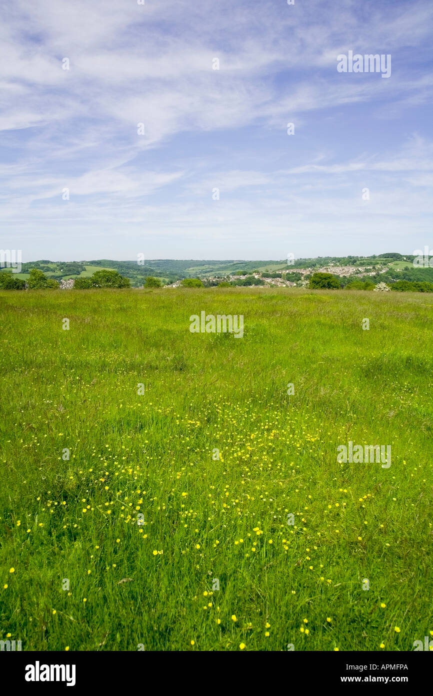 Minchinhampton common stroud gloucestershire uk hi-res stock ...