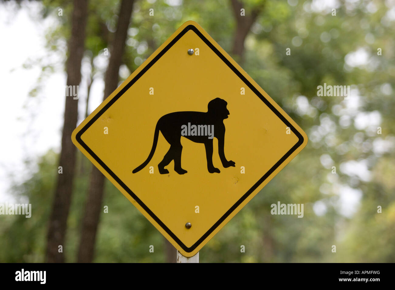 Monkeys on road warning sign near Kanchanaburi Thailand Stock Photo - Alamy