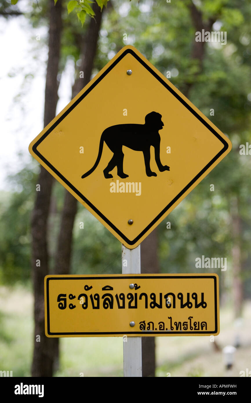 Monkeys on road warning sign near Kanchanaburi Thailand Stock Photo - Alamy