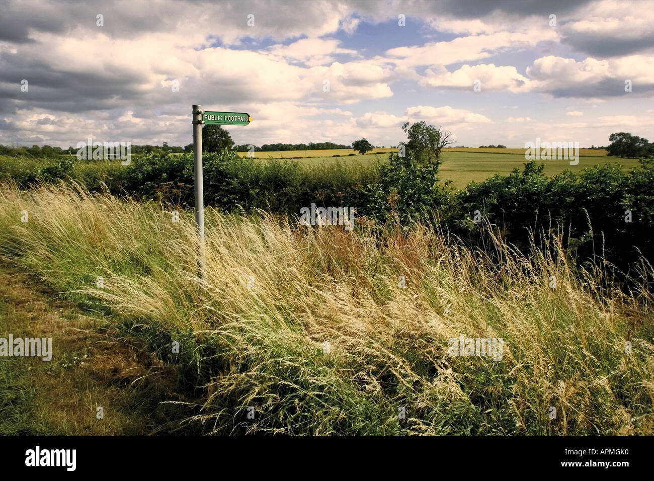 footpath three shires way motte and bailey castle yelden yielden ...