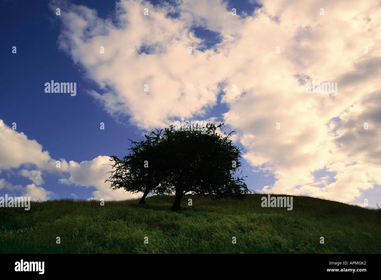 Yielden castle hi-res stock photography and images - Alamy