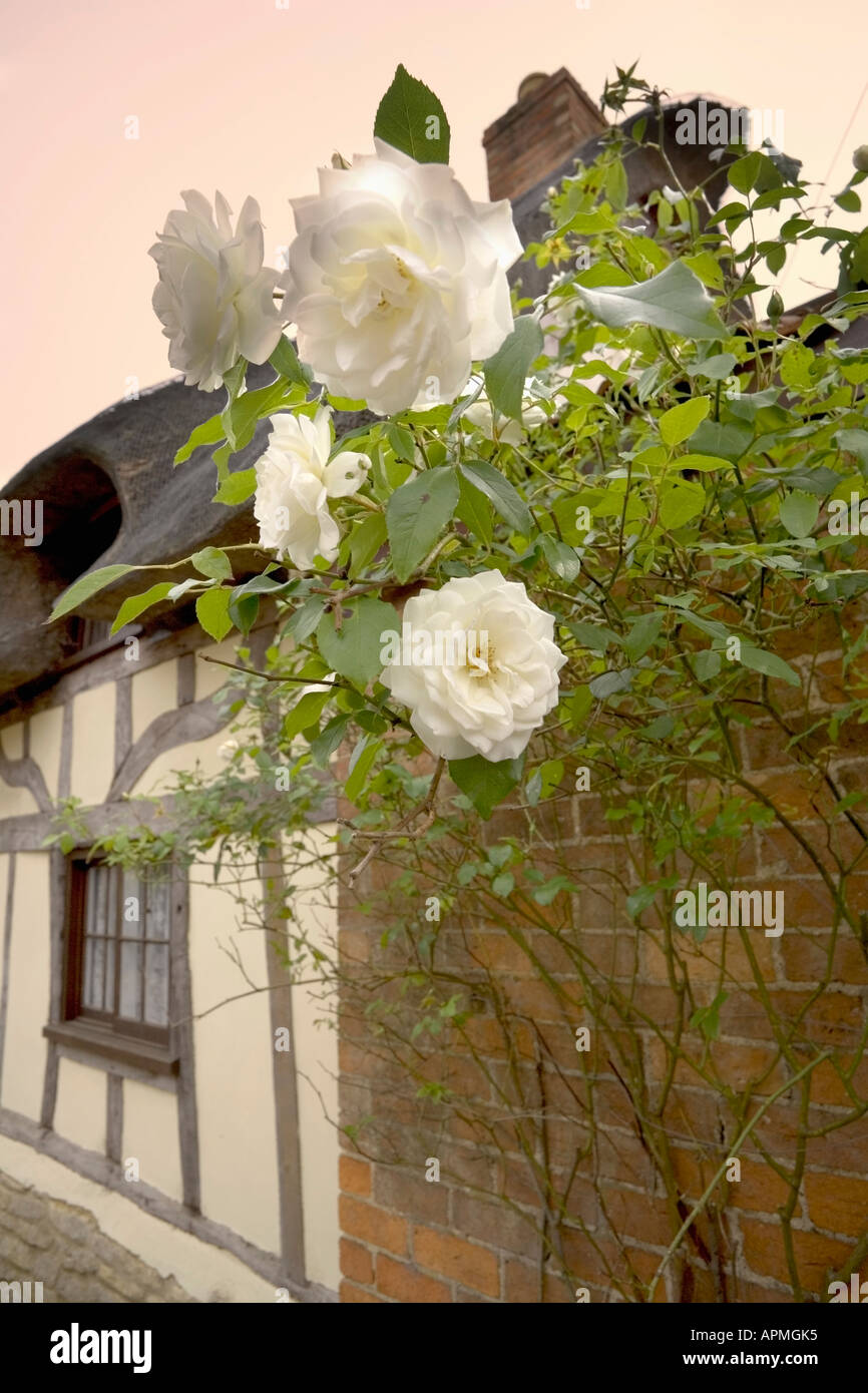 Yielden hi-res stock photography and images - Alamy