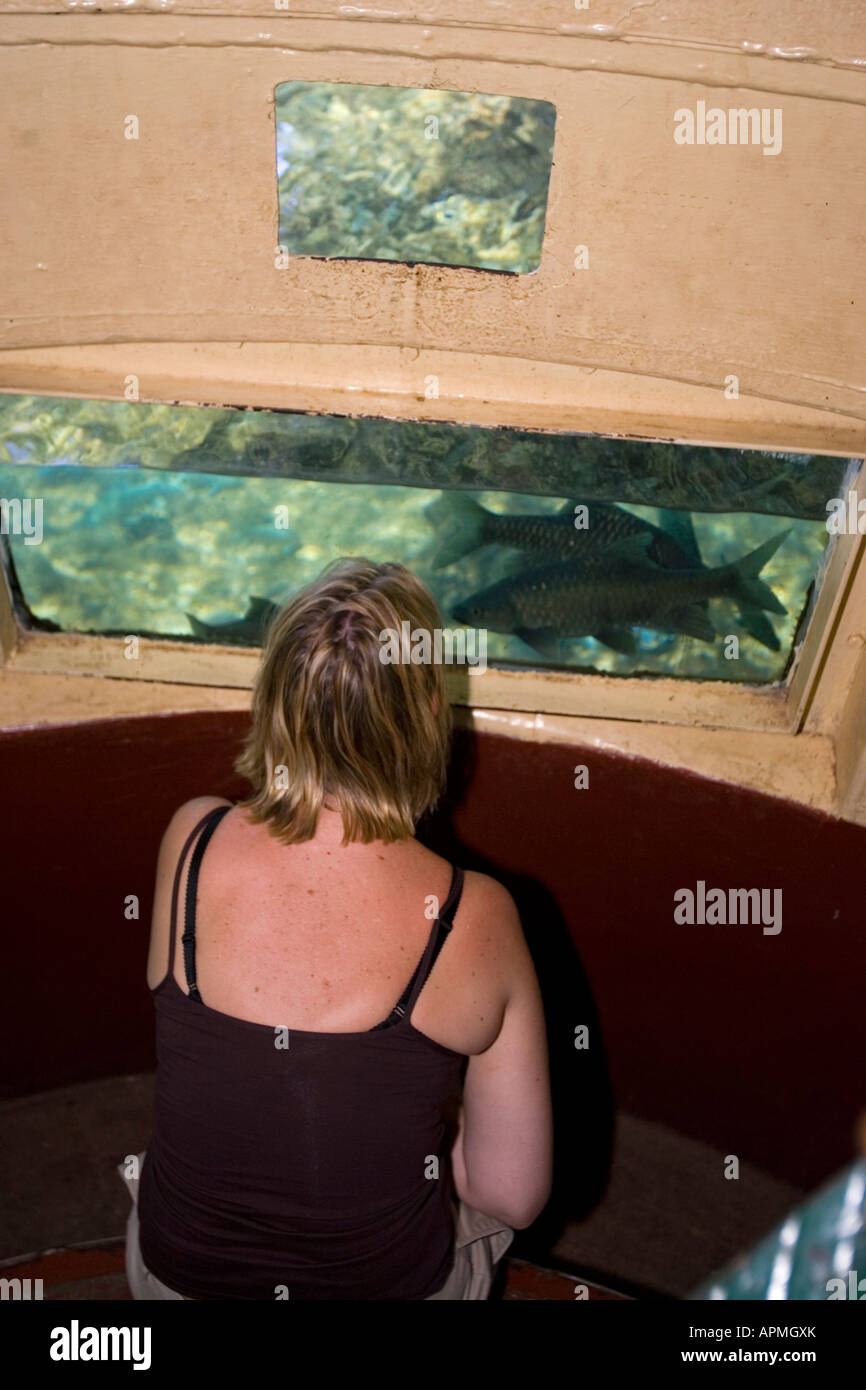 Observation tank at Mzima Springs Tsavo West National Park Kenya Stock ...