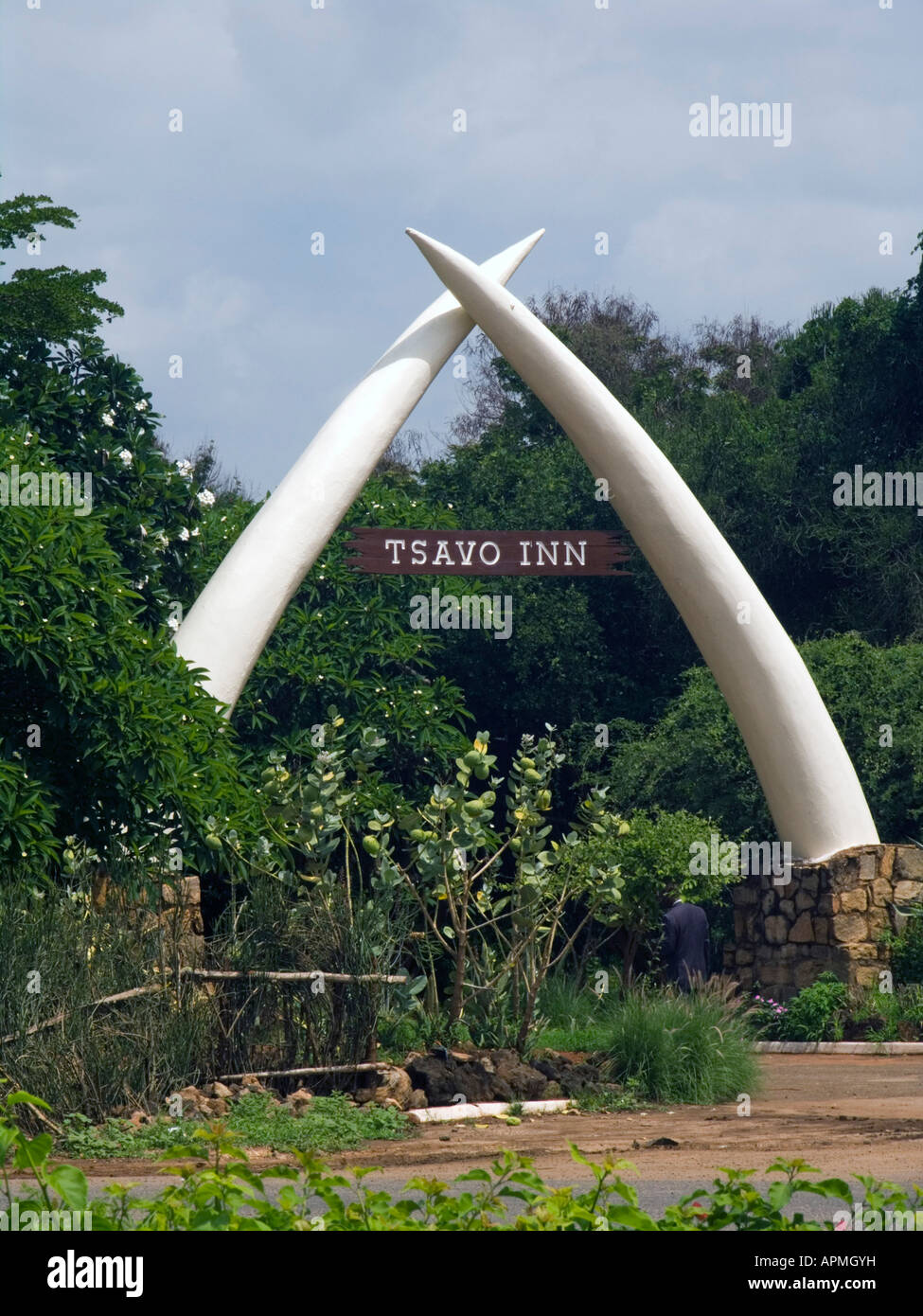 Elephant tusks Tsavo Inn outside national park Kenya Stock Photo - Alamy