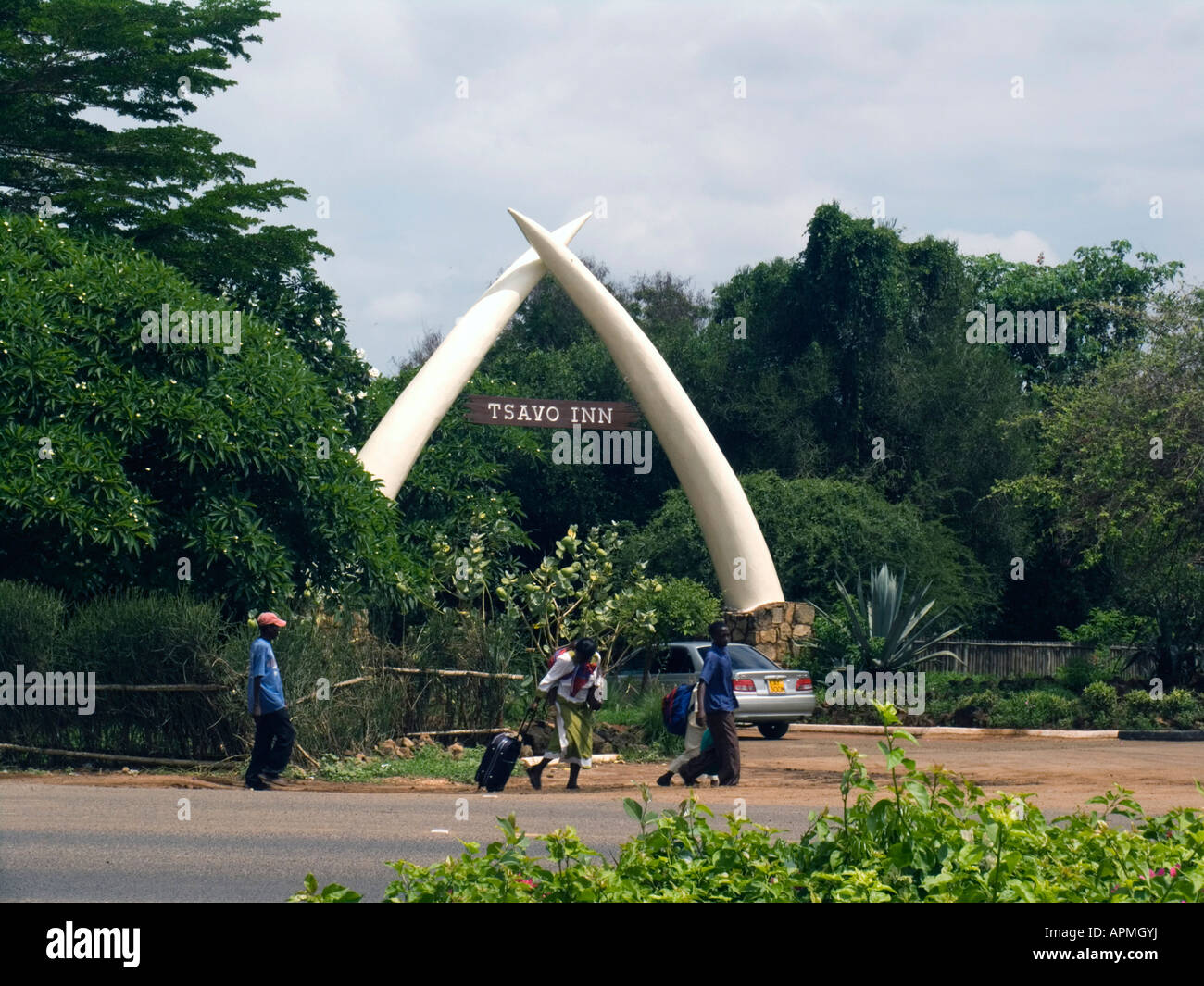 Elephant tusks Tsavo Inn outside national park Kenya Stock Photo - Alamy