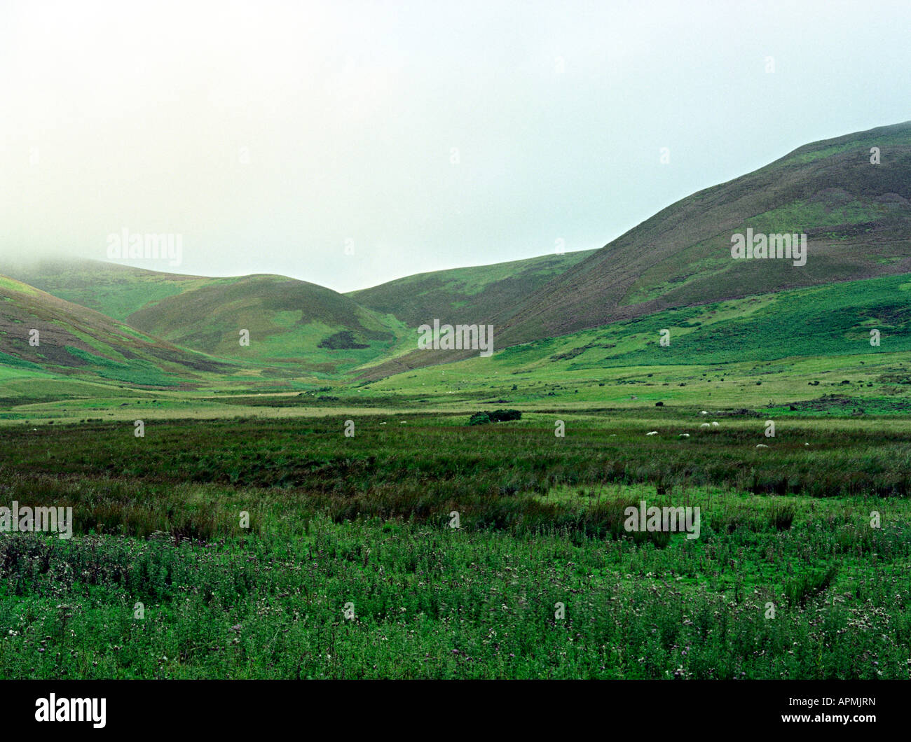 images of hills around the borders and the pentland hills Stock Photo ...