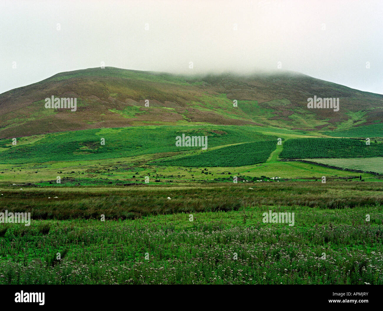 images of hills around the borders and the pentland hills Stock Photo ...