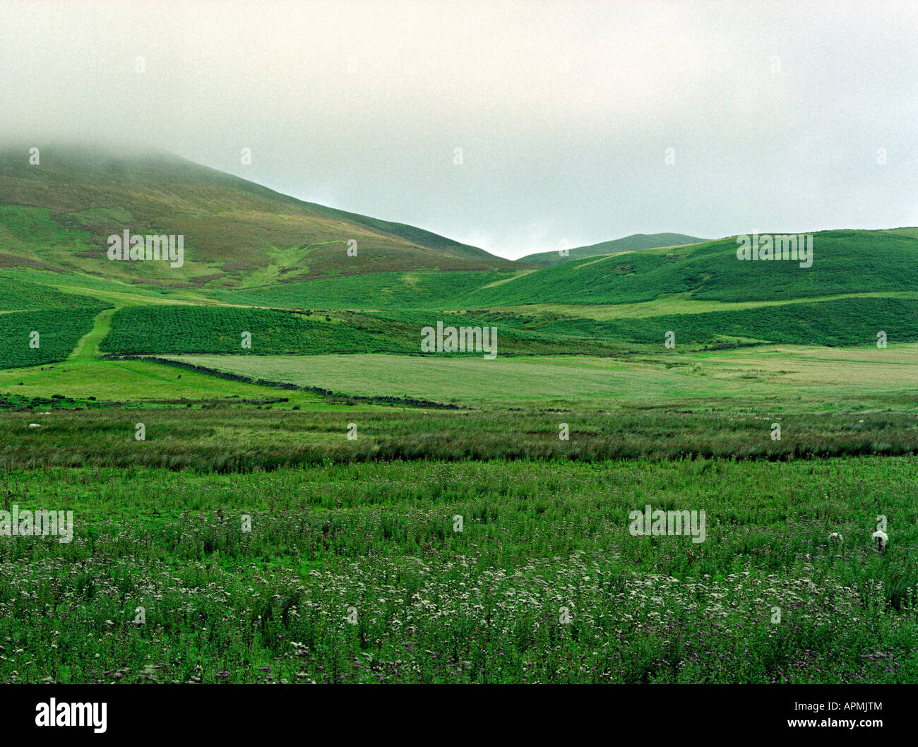 images of hills around the borders and the pentland hills Stock Photo ...
