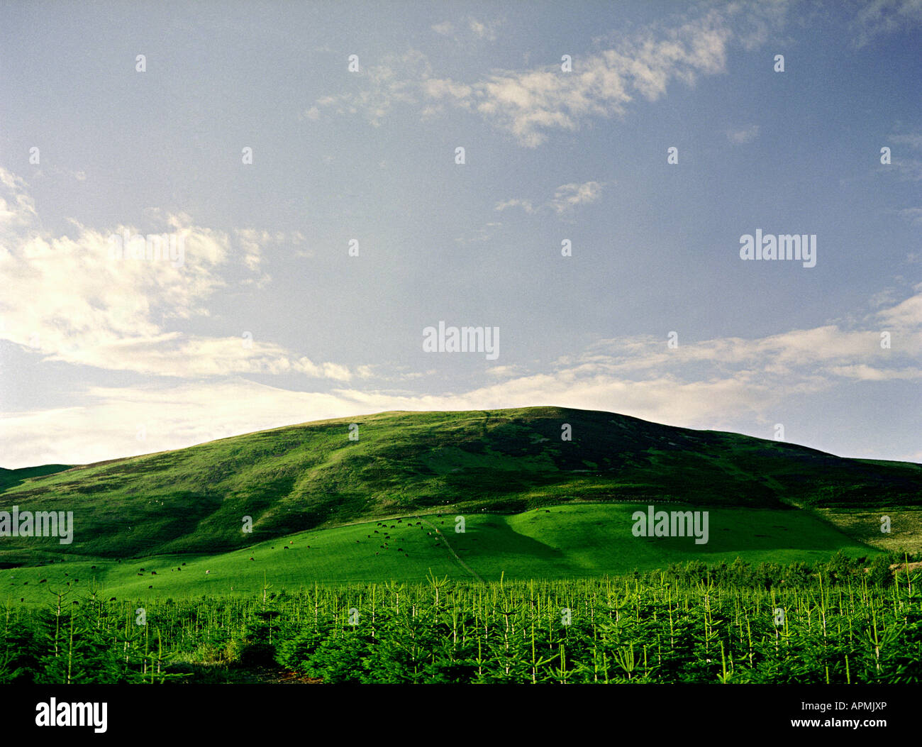 images of hills around the borders and the pentland hills Stock Photo ...