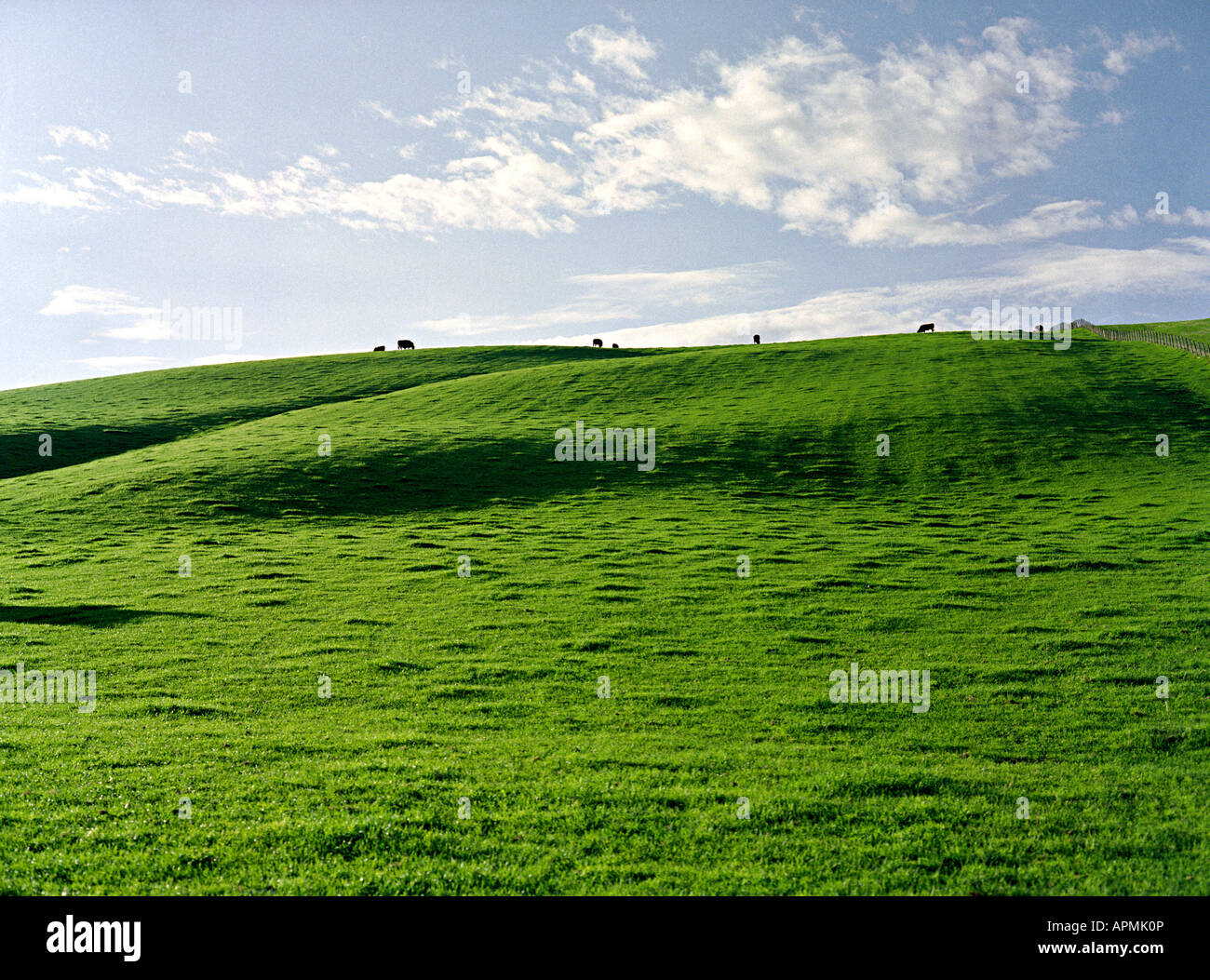 images of hills around the borders and the pentland hills Stock Photo ...