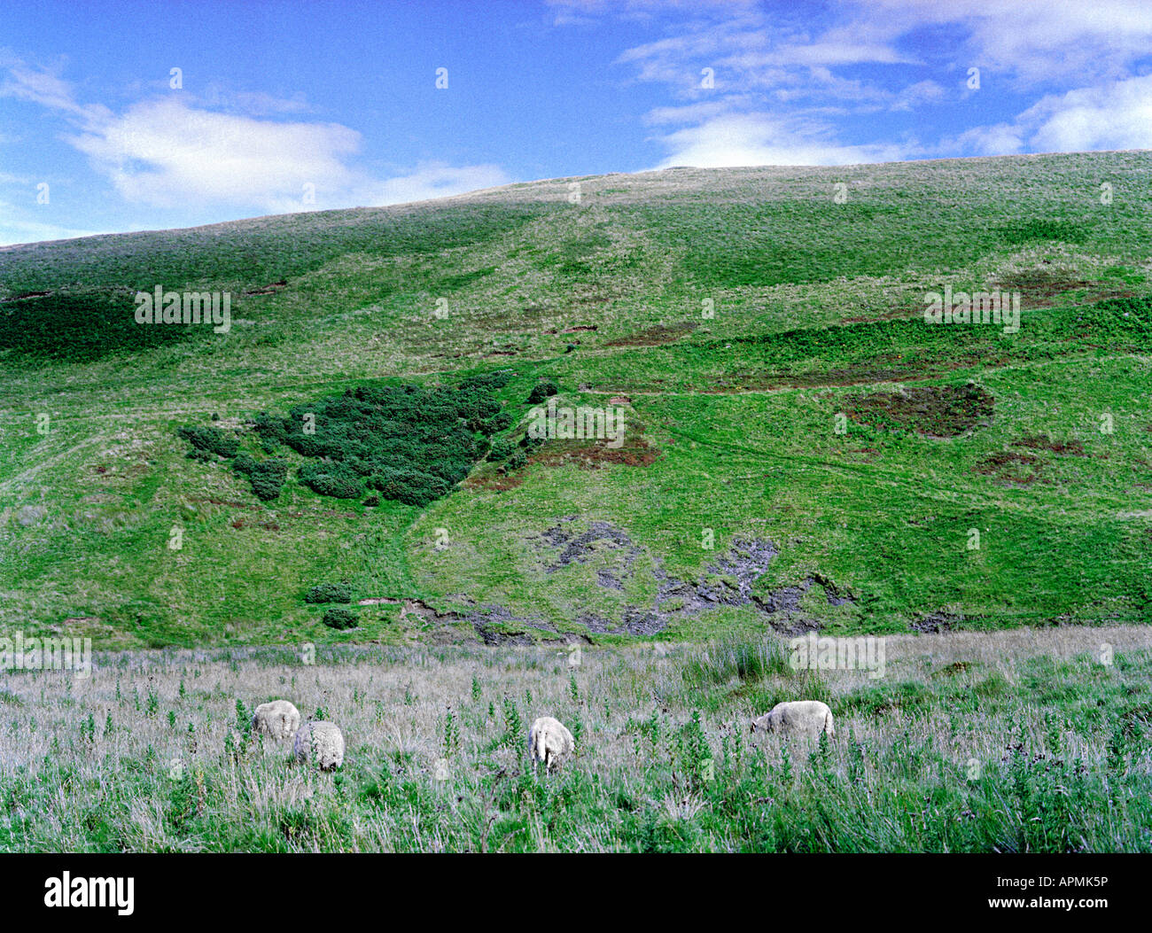 images of hills around the borders and the pentland hills Stock Photo ...